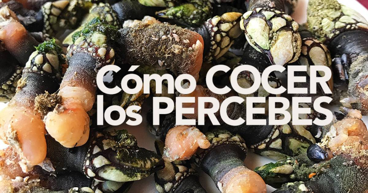 Cómo cocer los percebes | Cocina y recetas fáciles