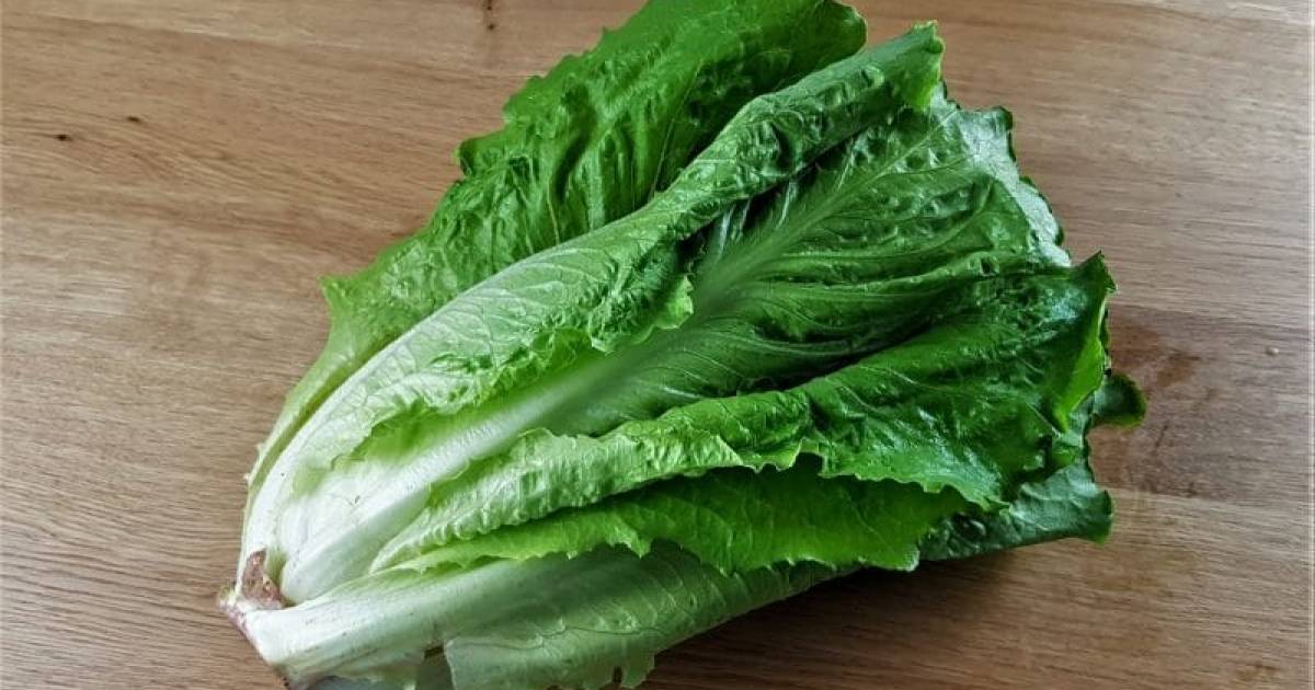¿quieres que la lechuga dure mas tiempo? | Cocina y recetas fáciles
